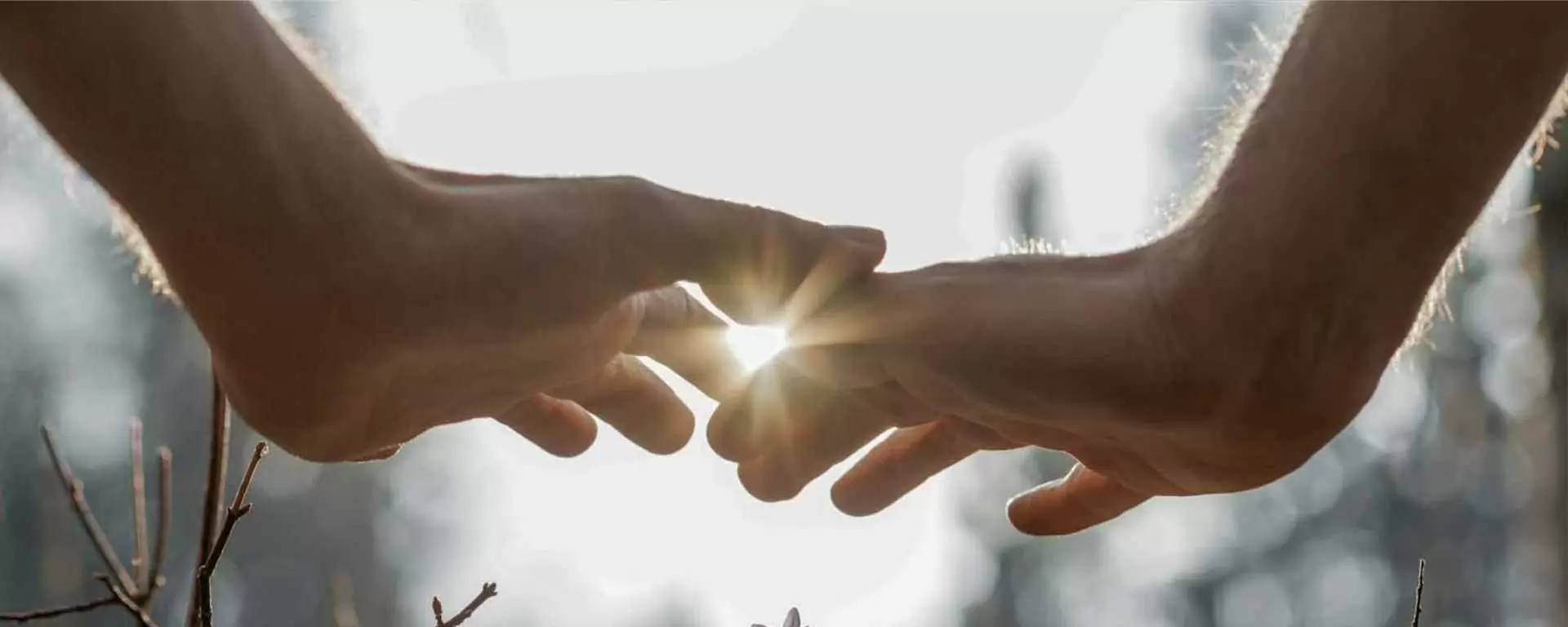 Reiki 1 with Inge – group starting April 27, 2024 - Reiki Chicago